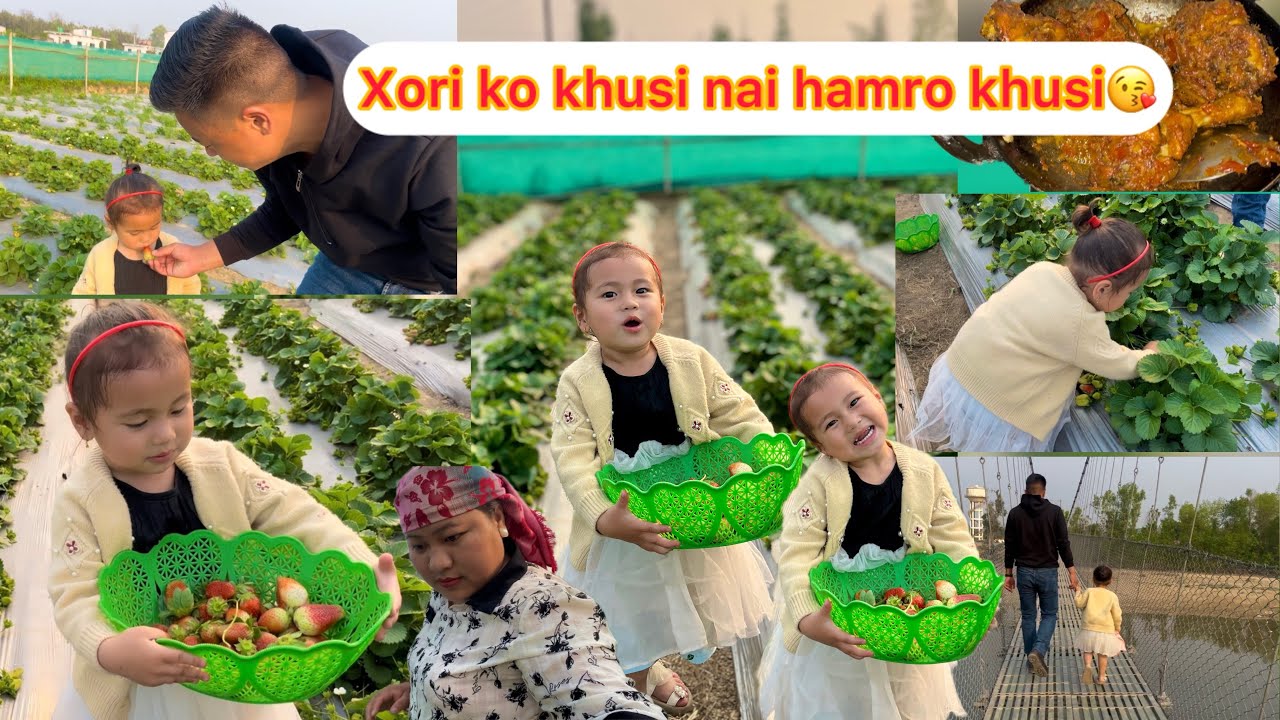 BUDA LAI BUDI KO HAT KO CHIKEN 🍗BIRYANI MITHO VYO RE😂XORI KO RAHAR PURA ...