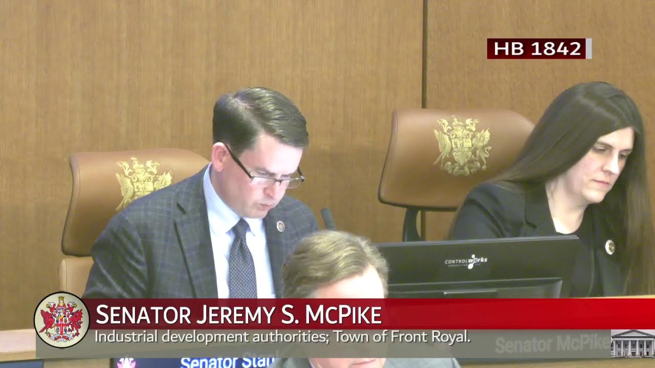 Senate of Virginia: Local Government on 2025-02-10 - YouTube