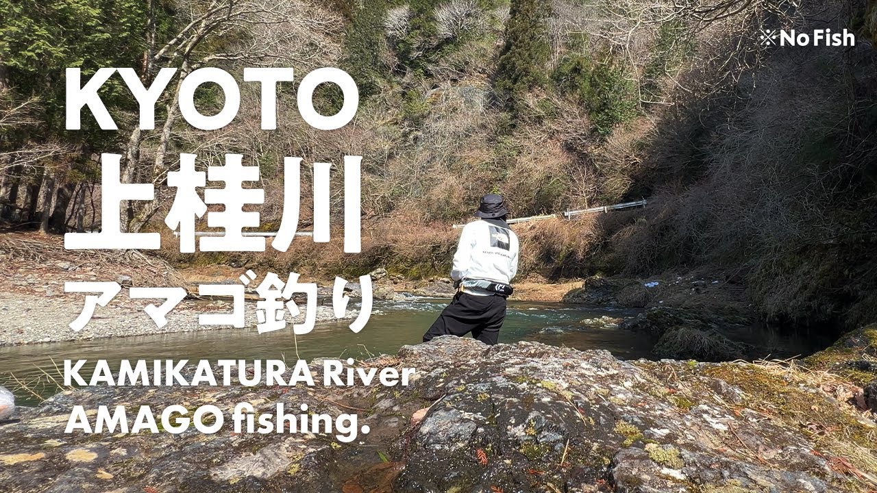 京都上桂川でアマゴ釣り！釣り場やエサ事情などを紹介/Amago Fishing in Kamikatsura River, Kyoto ...