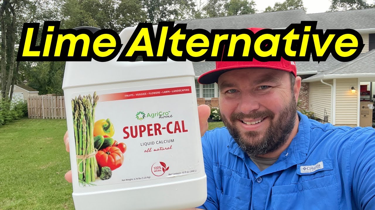 Give Your Lawn the Calcium it Needs! AgriGro Super Cal - YouTube