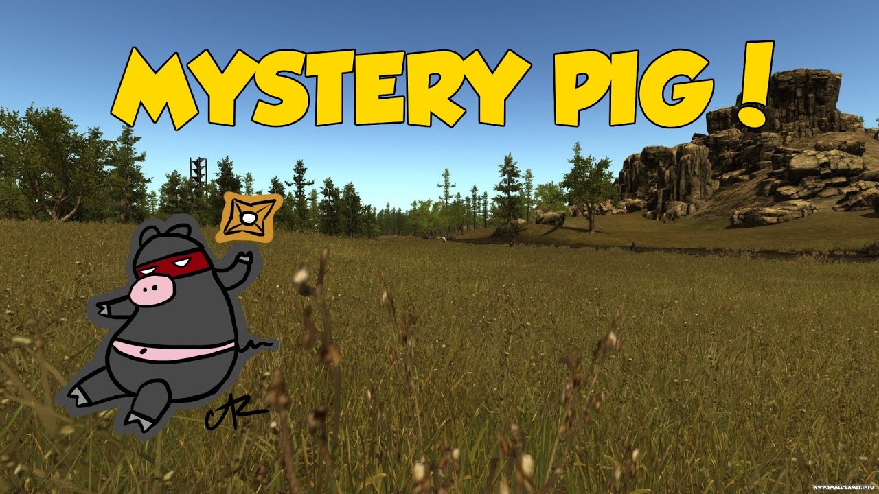 MYSTERY PIG! - Rust - YouTube