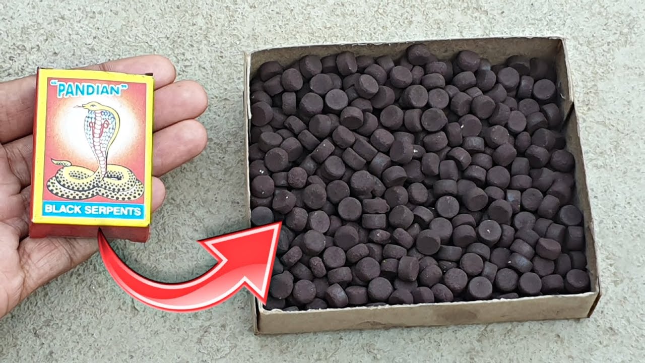 1000 Snake Bom 🐍 at once fire Diwali crackers testing 🐍 1000 Black ...