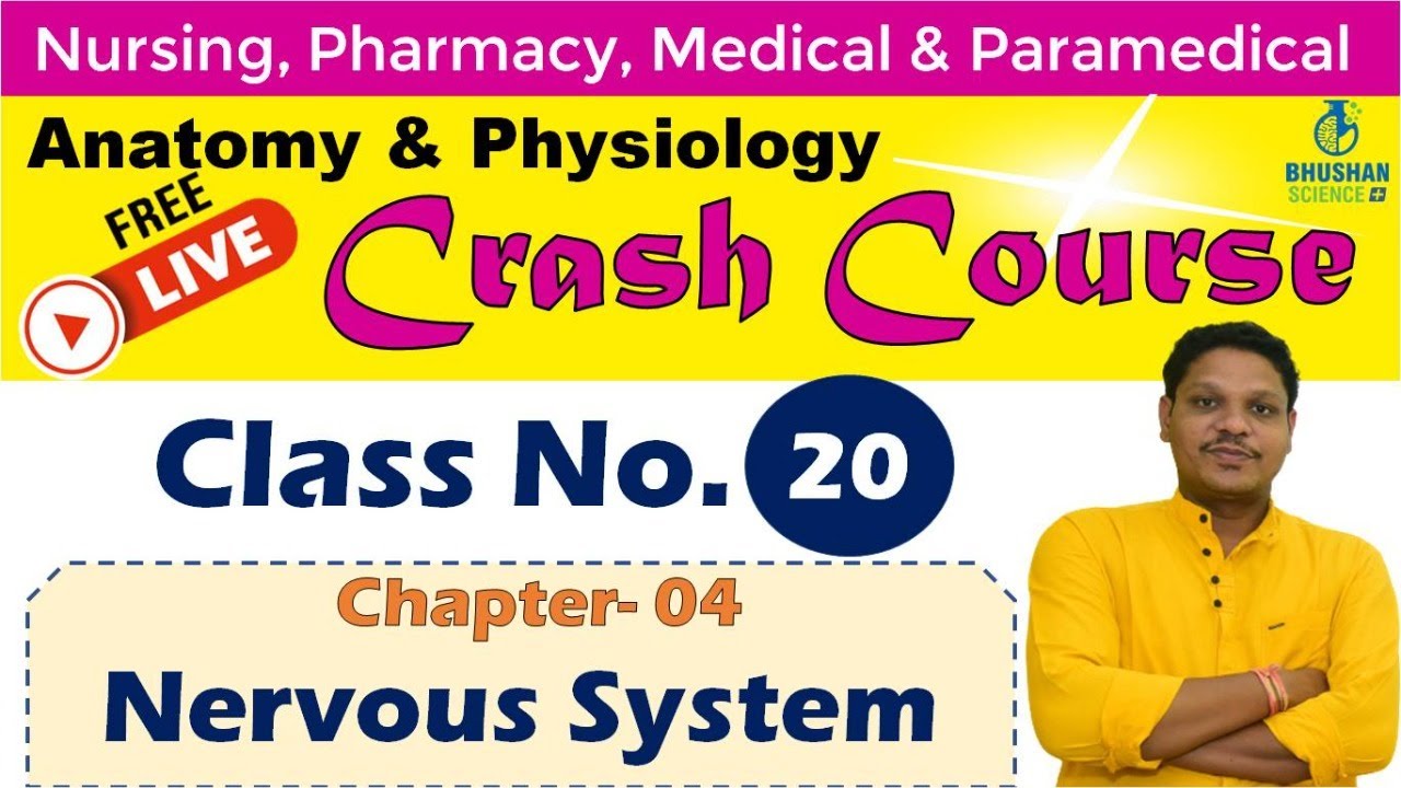 Class 20 FREE Anatomy Physiology CRASH COURSE Anatomy Physiology Class 20 FREE Anatomy Physiology CRASH COURSE Anatomy Physiology