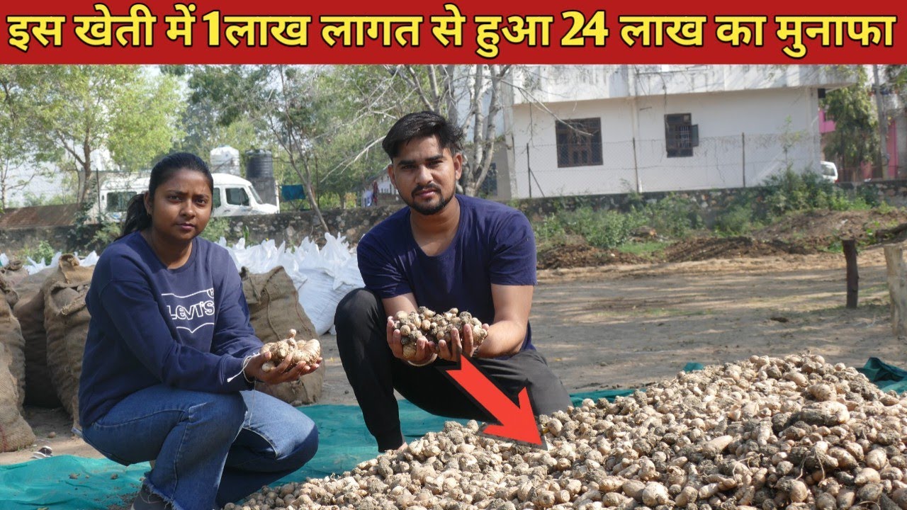 लाखो रूपये कमाये इस खेती | Black Turmeric Farming in India | Organic ...