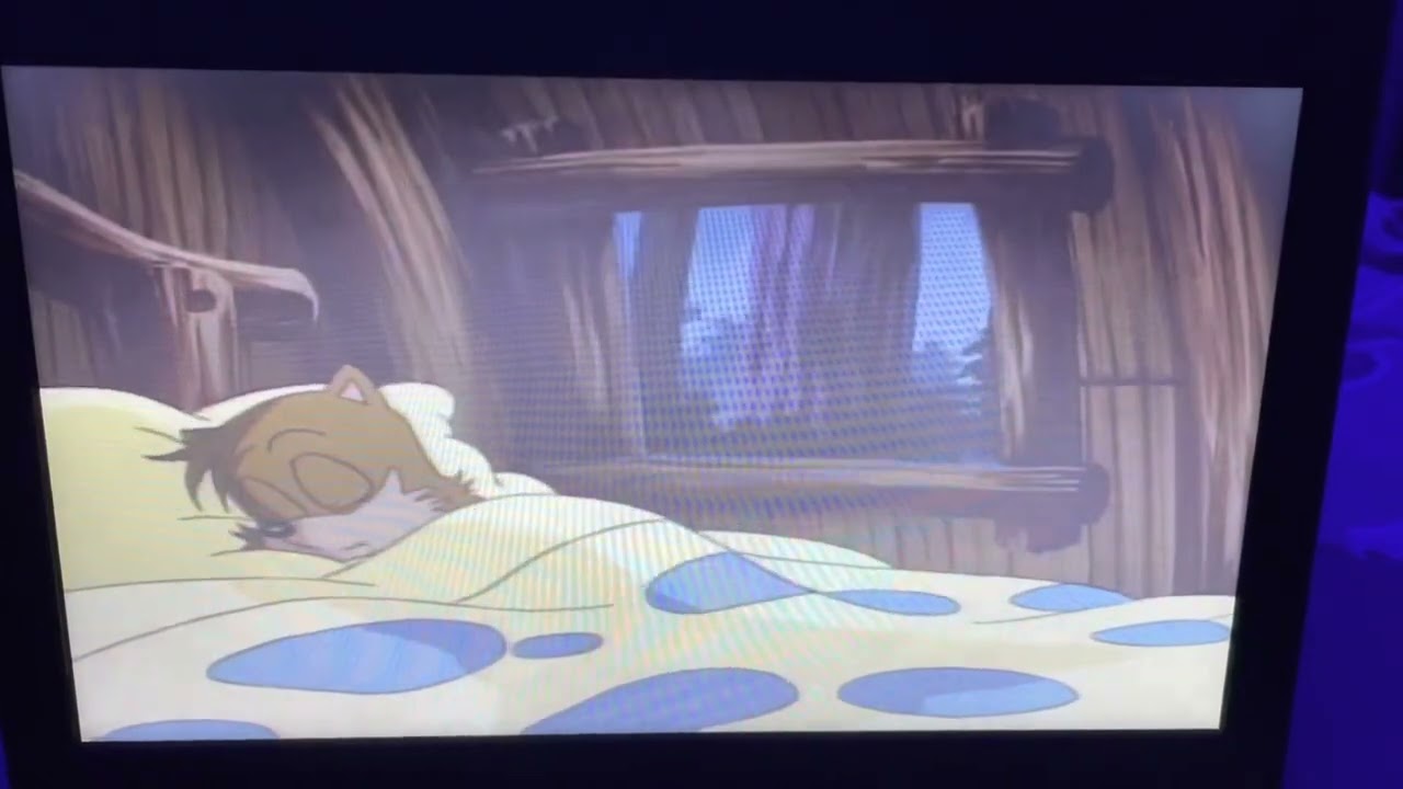 Tails sleeping in bed - YouTube