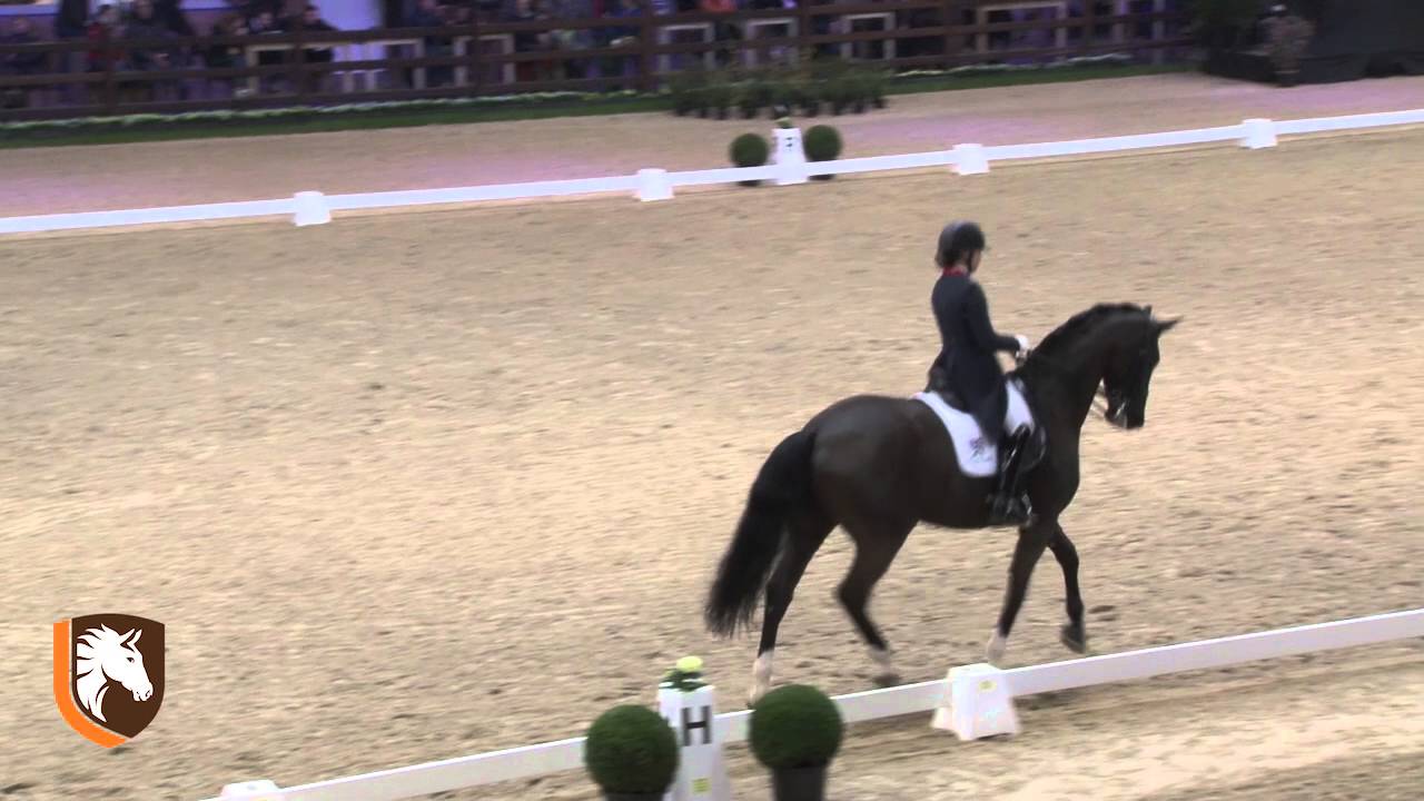 WDM Lier 2016 #2 in CDI U25 WDM NextGen GPF Bobby Hayler & Valentino ...