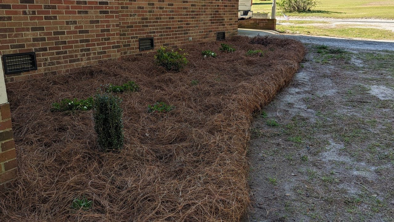 LANDSCAPE INSTALL and PINE STRAW 😎👊 - YouTube