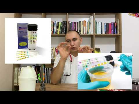 Kedilerde idrar yolu problemi 🙀🚨☠️ #veteriner #kedibakımı #keşfet