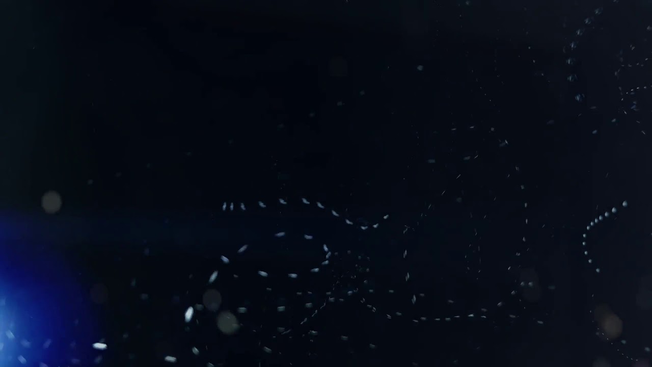 Abstract Continuous Dust Particles Overlay - Free HD Vfx Footage - YouTube