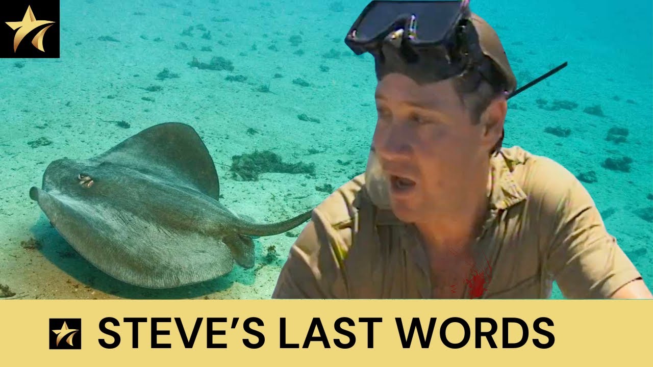 Steve Irwin’s LAST Words before passing away - Interview with Steve’s ...