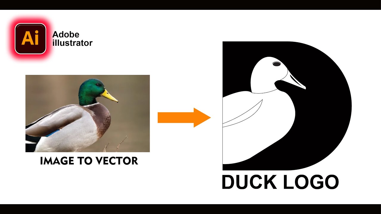 Adobe Illustrator Beginner Tutorial: image To Vector Logo Design |Duck Logo Design - YouTube