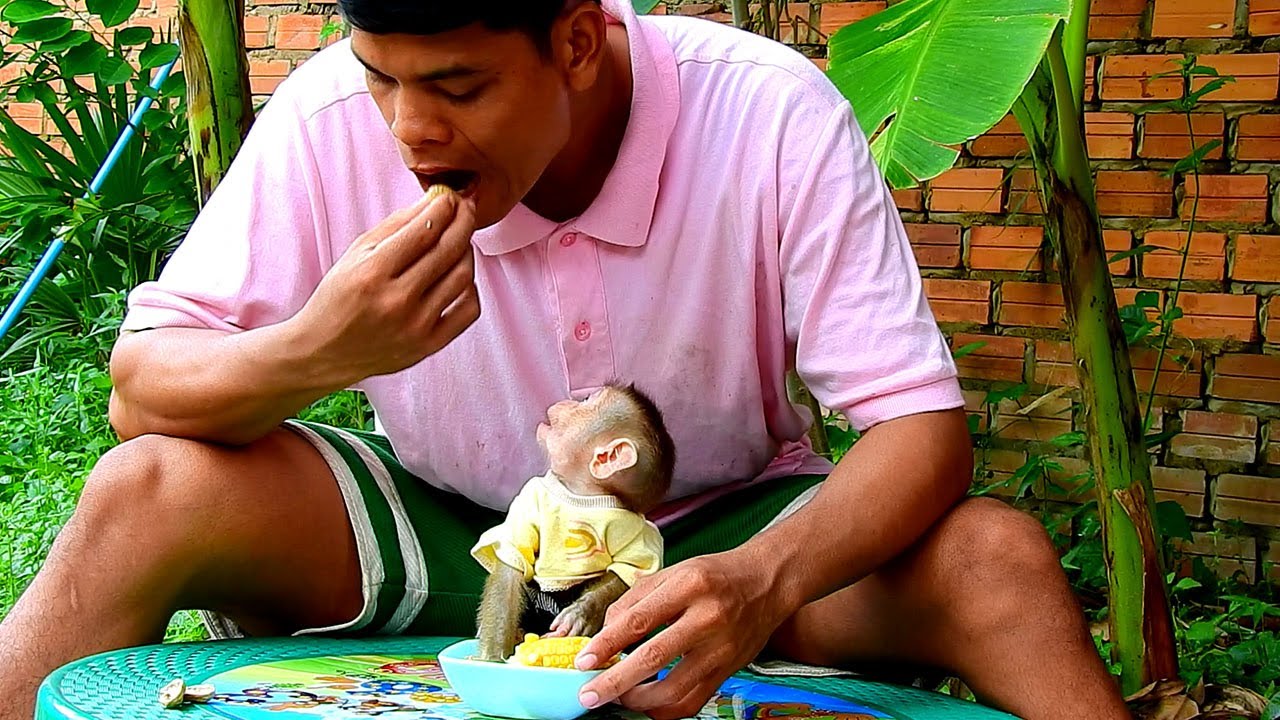 Little baby watching to dad when saw dad eat corn with him - YouTube
