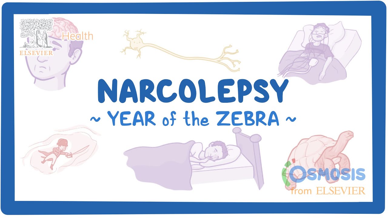 Narcolepsy - NORD (Year of the Zebra) - YouTube