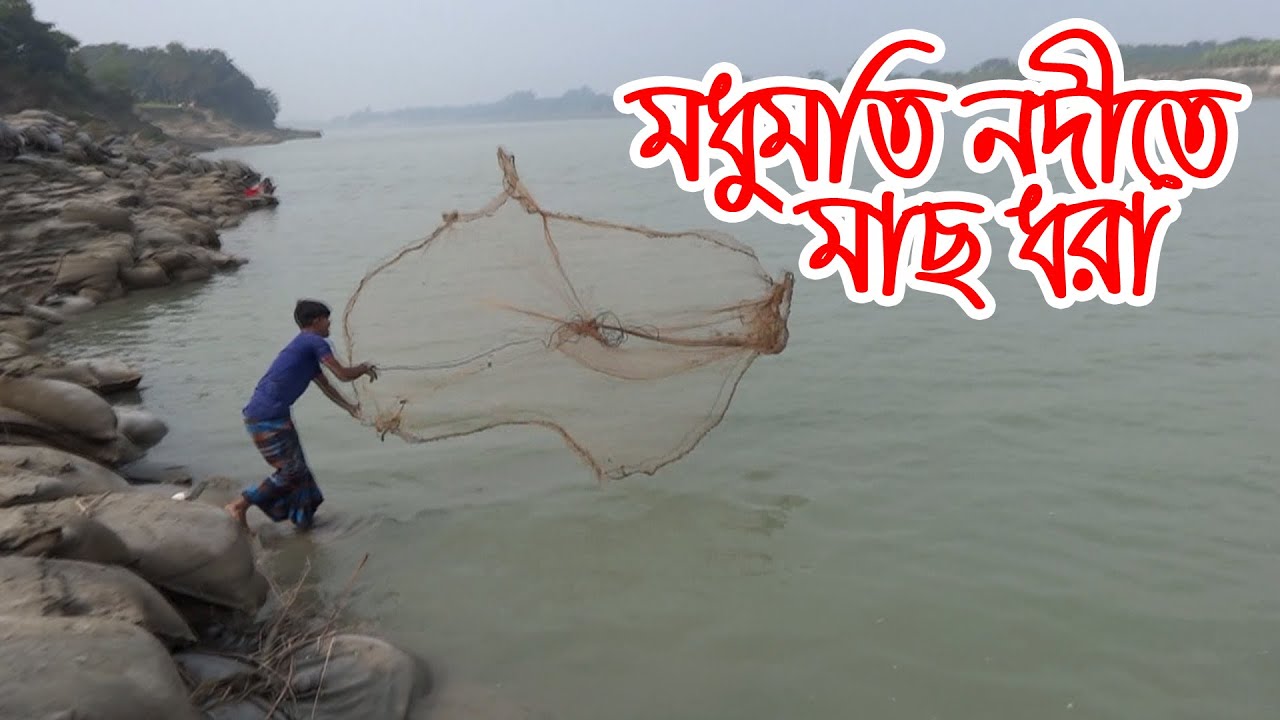 NET FISHING IN MODHUMOTI RIVER | মধুমতি নদীতে মাছ ধরা । বাংলারমুখ ...