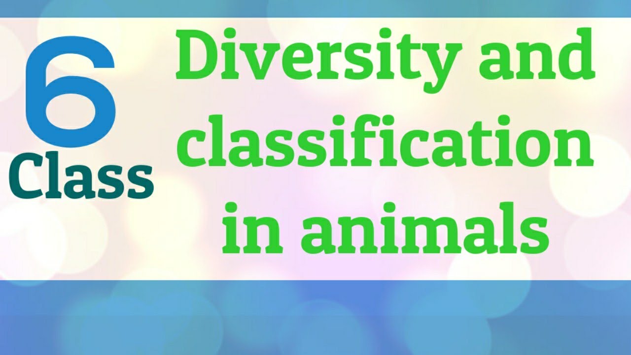 #Diversity and classification in animals #6class general science | maha ...