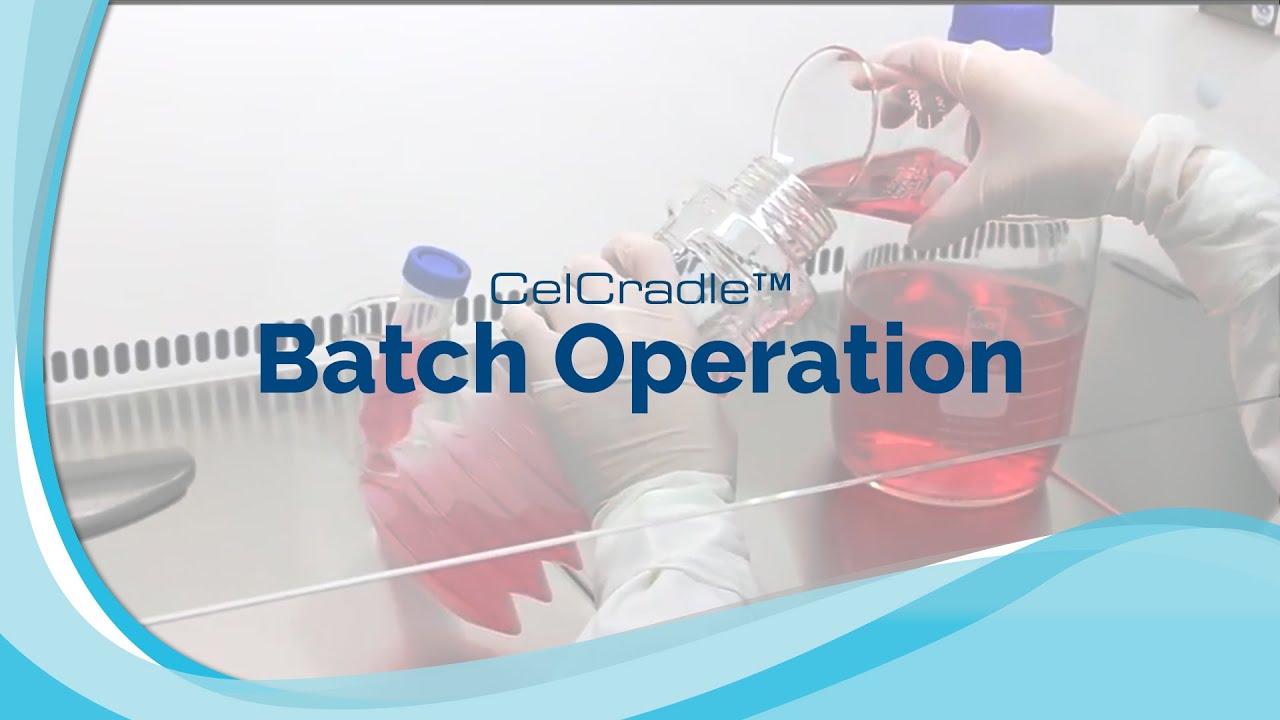 CelCradle™ | Batch Operation | Esco VacciXcell - YouTube