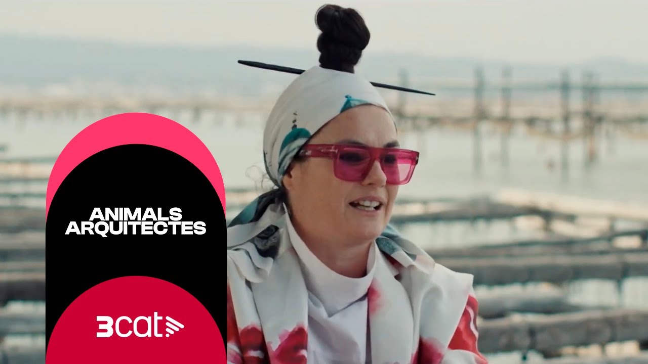 Animals arquitectes - T1xC8 - Eva Franch - YouTube