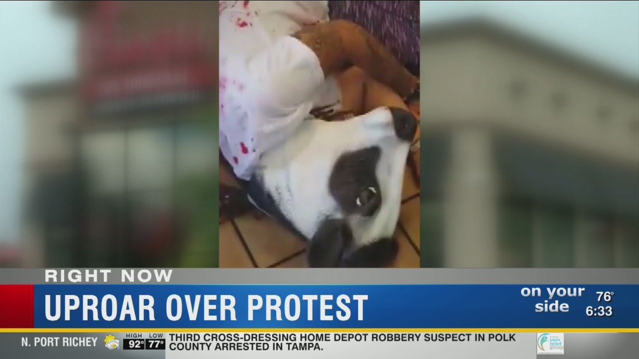 Chick Fil A Protests Causes Uproar Youtube