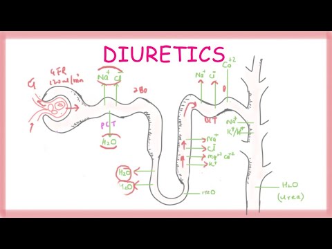 Osmotic Diuretics - Pharmacology - YouTube