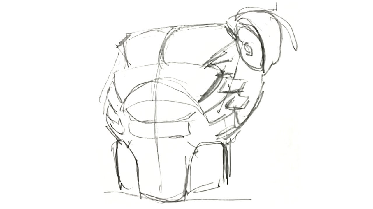 How to draw a Torso & More (Stream Highlights) - YouTube