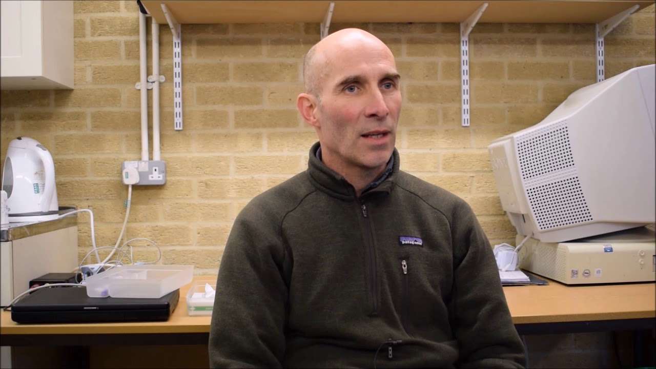 The Magic of Harry Mahon - rowing coach - promo2 HD - YouTube