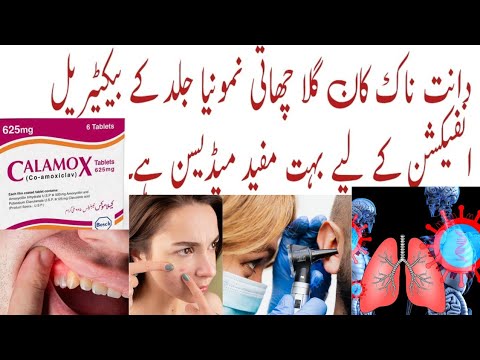 Calamox tablet 625mg use in Urdu | Co-amoxiclav tablet | how to use ...