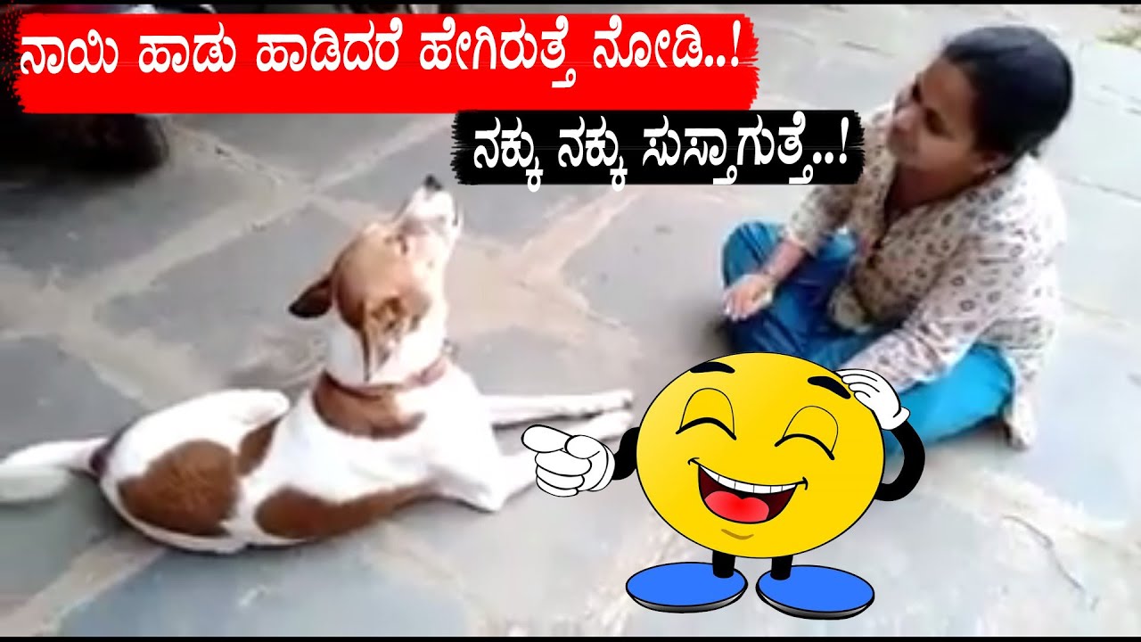 Funny Dog sings a song funny video of the year | you can't stop ...