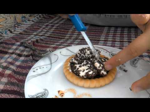 Pizza denemesi