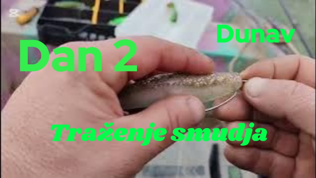 Pecanje smudja*Zimsko pecanje Dunav - YouTube