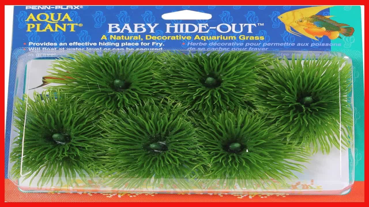 PENN-PLAX Fish Breeding Grass – Baby Hideout for Fry – Great for ...