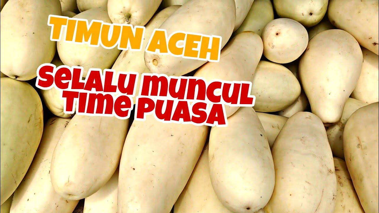 Balik Kampung Cari Timun Aceh Lagi ‼️ Mana Yang Suka Buah Ni Boleh ...