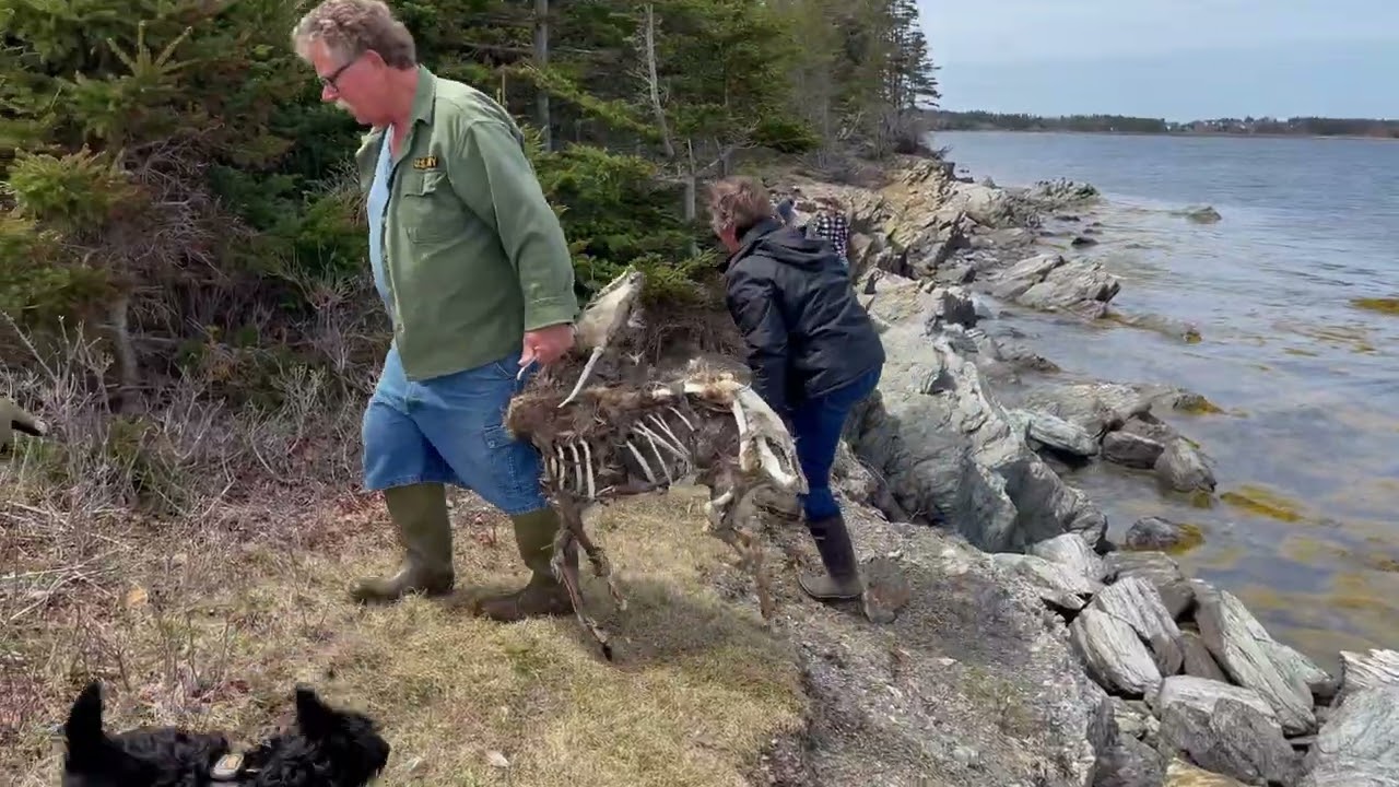 May 2022 Hike on Tancook Island, Nova Scotia - YouTube