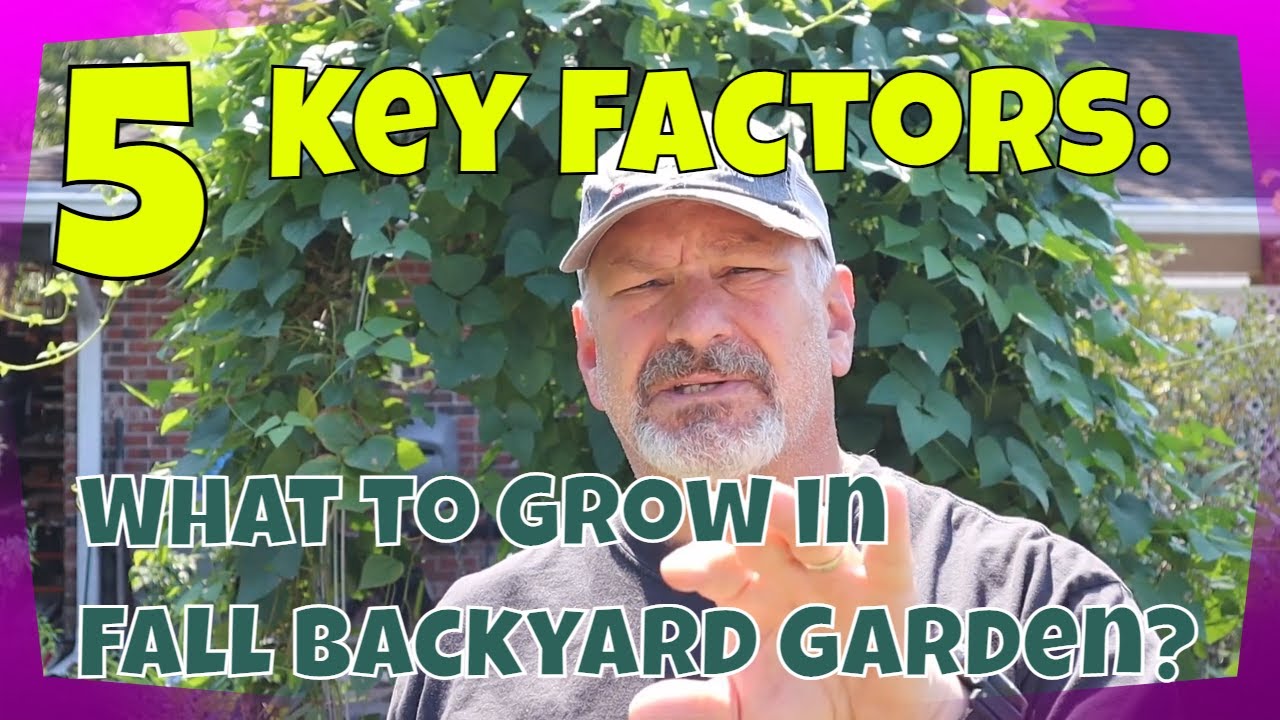 5 Key Factors: What You Grow In The Fall Backyard Garden - YouTube
