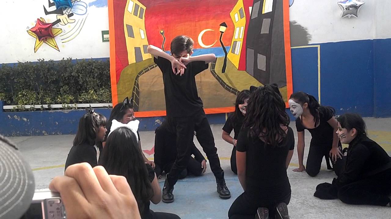 cats colegio ingles liverpool 2013 - YouTube