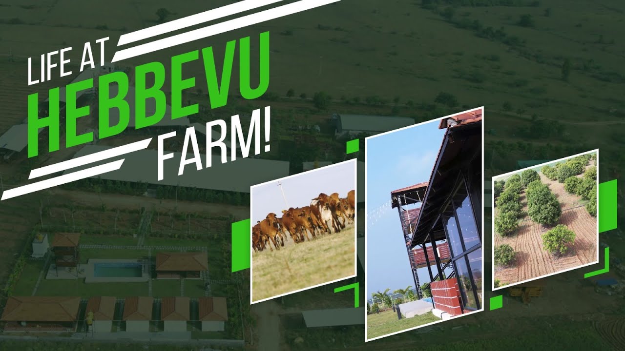 Life at Hebbevu Farm - YouTube