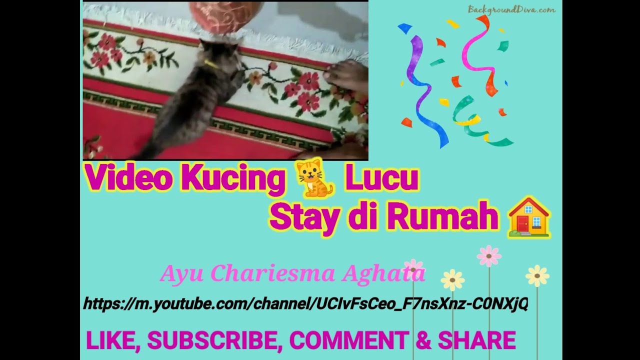 Video Kucing Lucu(si comel kucing lucu stay at home) - YouTube