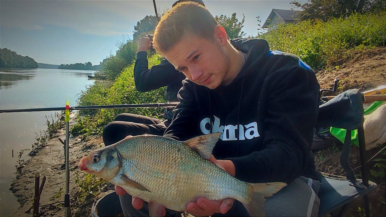 Pecanje feeder tehnikom na Savskom mirnacu. Deverike i Babuske totalno ...