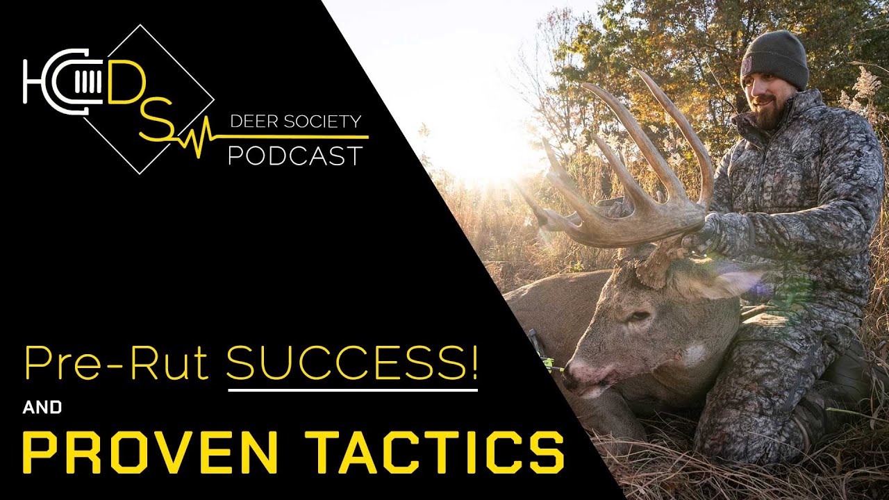 Pre-Rut SUCCESS | Proven Tactics and Strategies for NOW... - YouTube