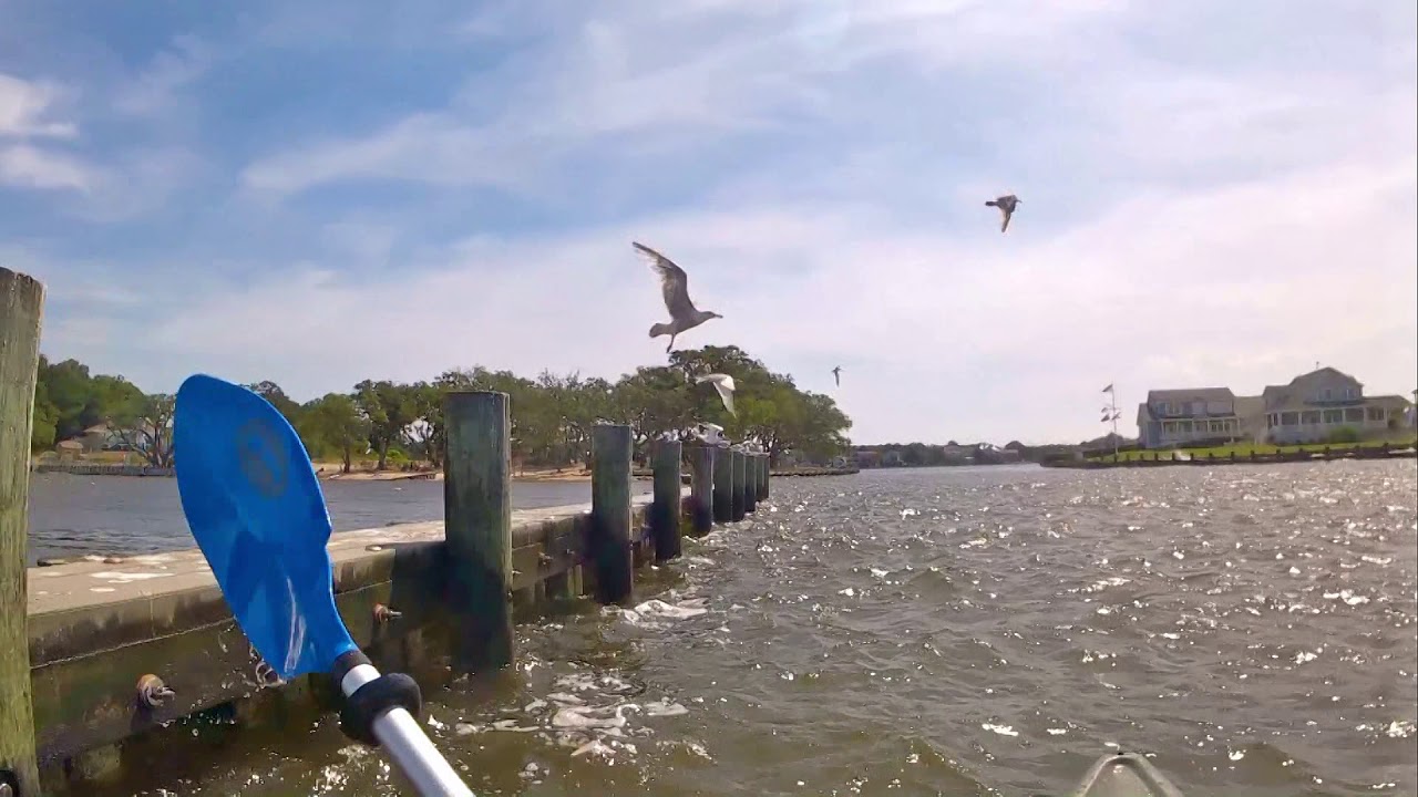 OBX Colington Harbor Inlet Gull Yak - YouTube