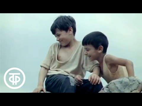 Незабываемый день. Короткометражный фильм об окружающем мире (1978)