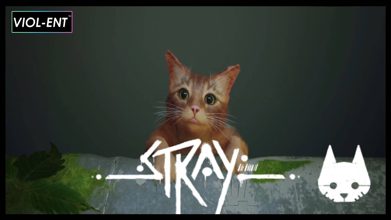 The Beginning Story of STRAY - YouTube