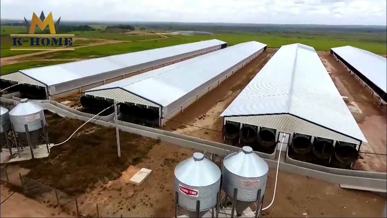 business low cost prefab modern automatic chicken poultry farm for sale ...