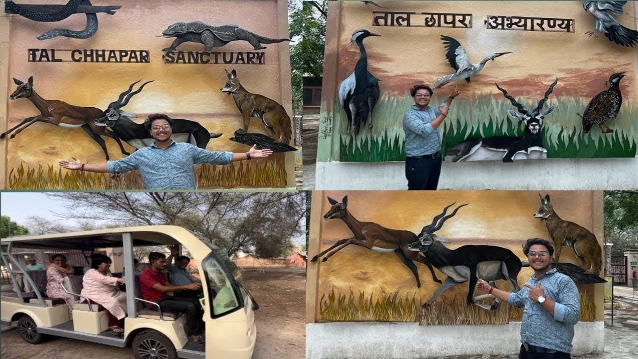Tal Chhapar Sanctuary | ताल छापर अभ्यारण्य चूरु राजस्थान🦌🫎 - YouTube