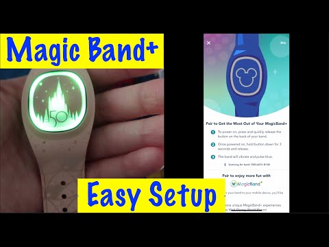 How Do I Know If My Magic Bands Are Linked
