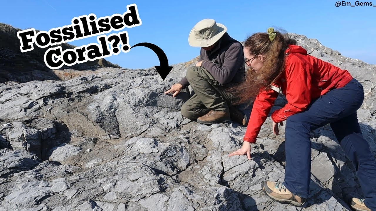 Fossilised Coral Reef Discovery | Ep 2 The English Riviera UNESCO ...