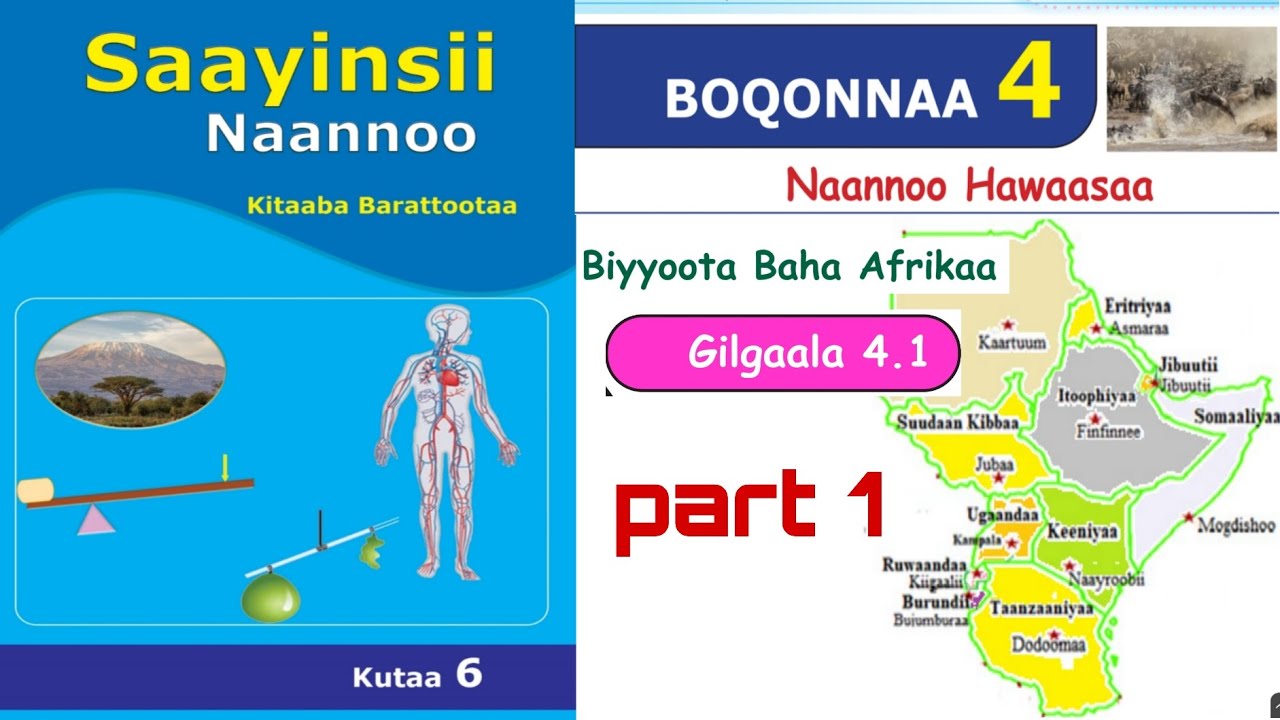 Saayinsii naannoo kutaa 6ffaa Boqonnaa 4 part 1 - YouTube