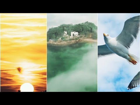 #shorts #short #shortnature  🌿🌿Very nice full HD WhatsApp status nature short video।। piano  music🌱🌿