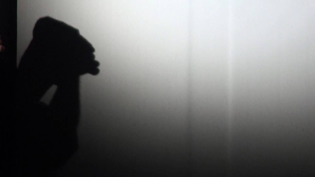 KAGW EID 2016:Hand shadow Performance - YouTube