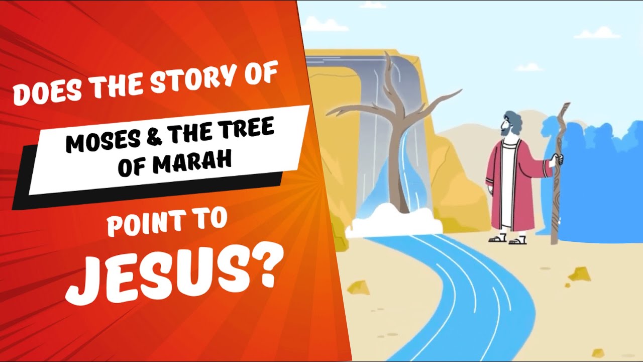 Moses & the Tree of Marah - YouTube
