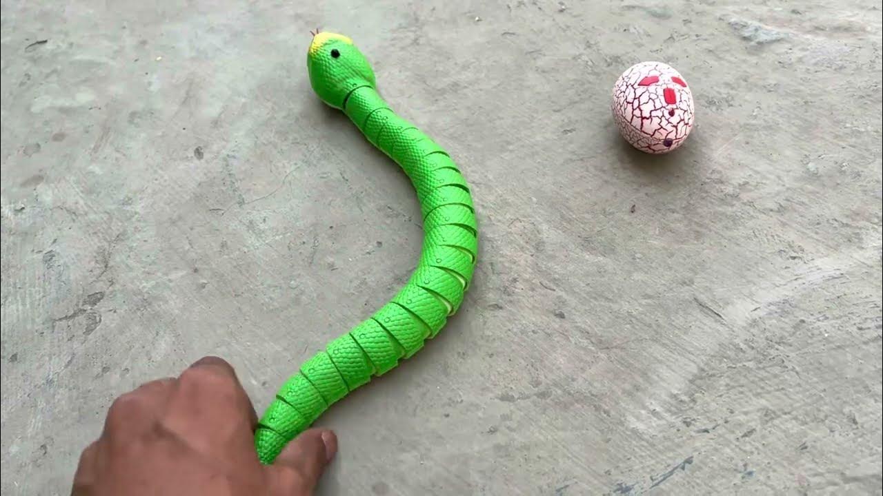 Rc rc snake unboxing | Redio control snake - YouTube